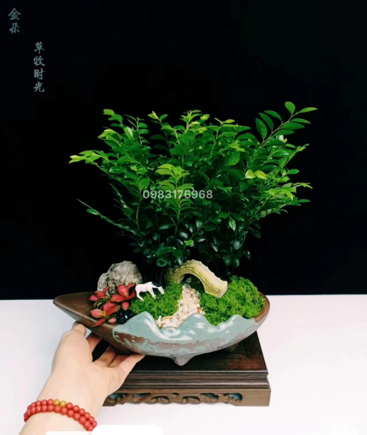 Tiểu cảnh tùng la hán dài 2 - Cây Xanh Đô Thị Đại Phát